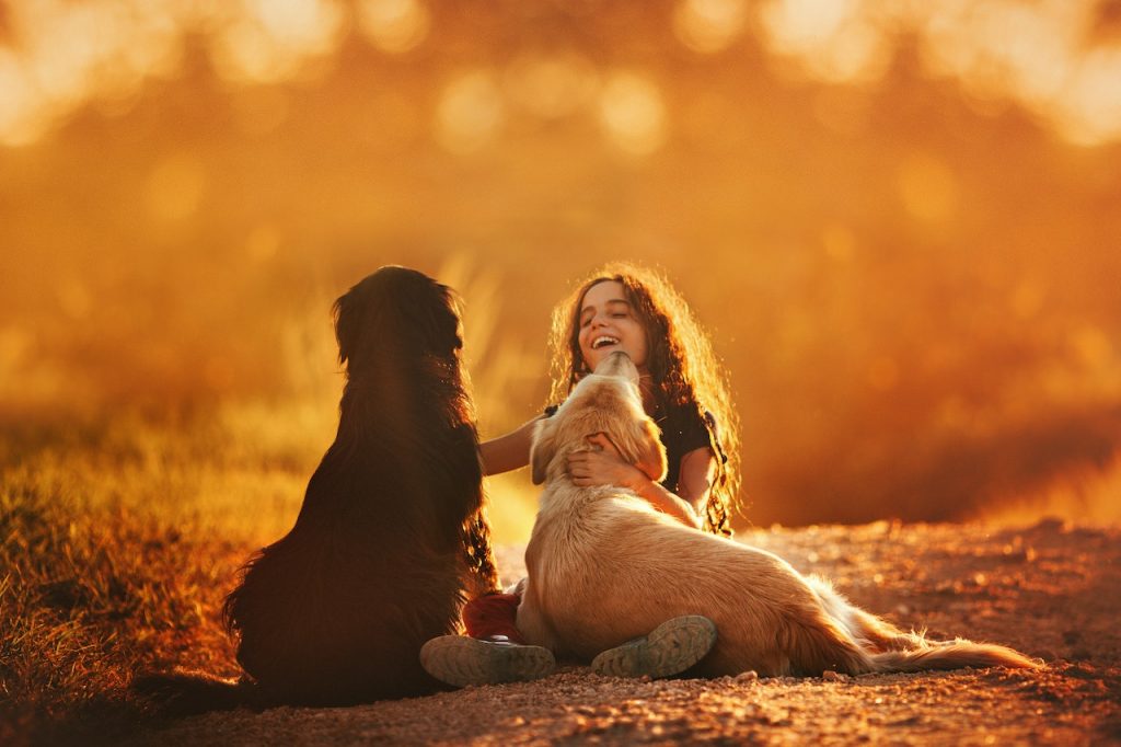 Five Best Pets to Consider for Your Child